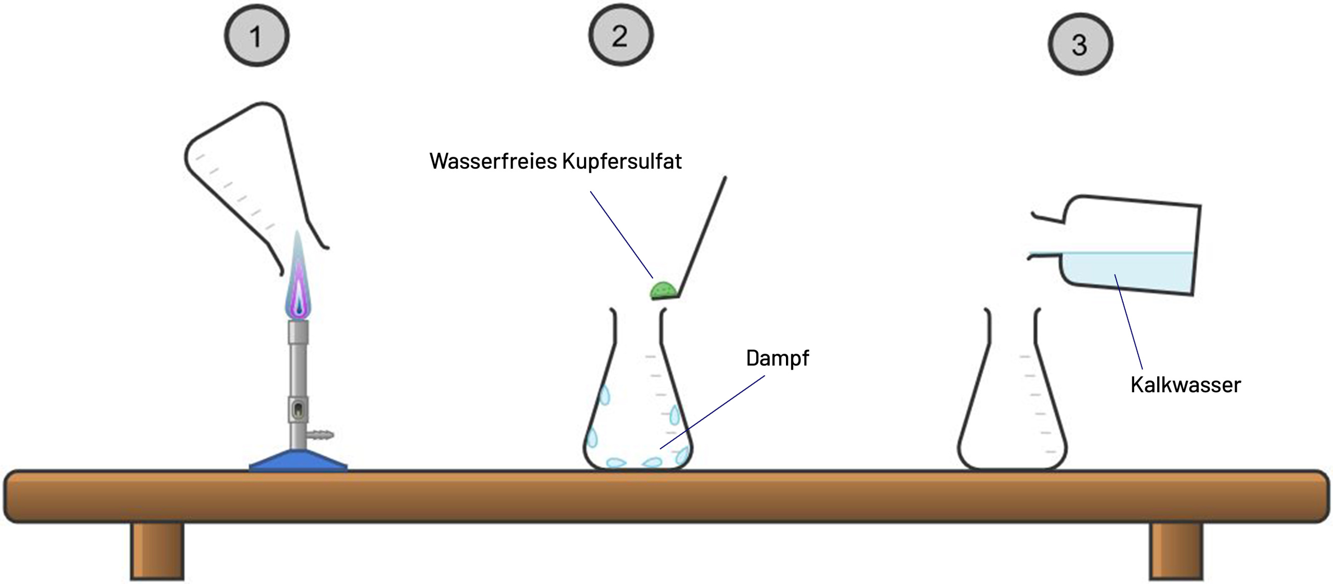 CO2MUCH - Die Quellen von CO2 | Science On Stage