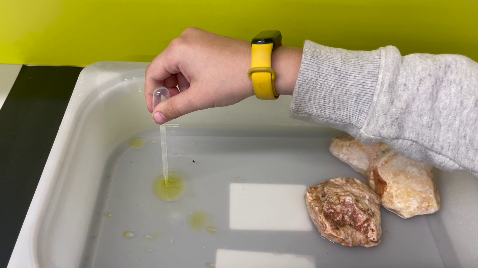 Wasser – Weg mit dem Dreck! | Science On Stage